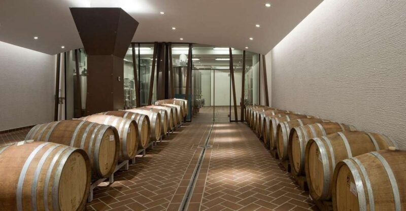 Bardolino: tasting of 6 red Valpolicella and Garda wines - Detailed Breakdown of the Tour Experience