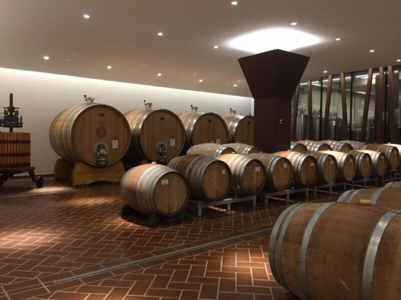 Bardolino: tasting of 6 red Valpolicella and Garda wines - Practicalities and Tips