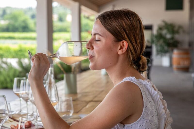Bardolino: Vineyard Tour with Wine and Food Tasting - The Sum Up