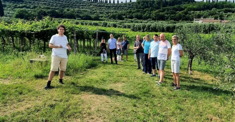 Bardolino: Vineyard Tour with Wine, Olive Oil & Food Tasting - Final Thoughts