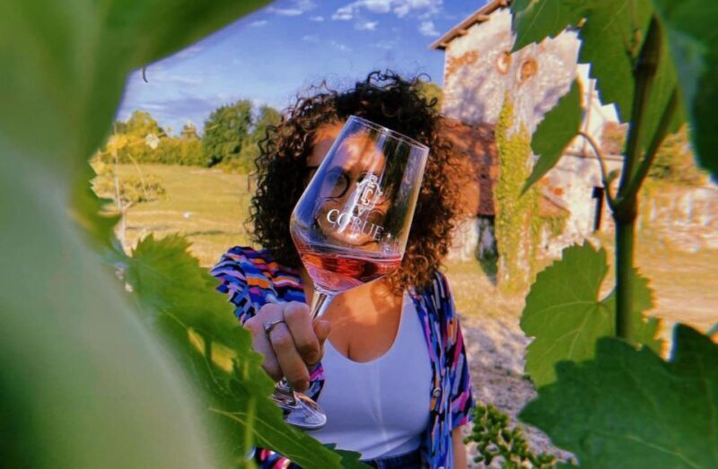 Bardolino: wine and food tasting on lake Garda Hills - An Intimate Look at Bardolino’s Wine World