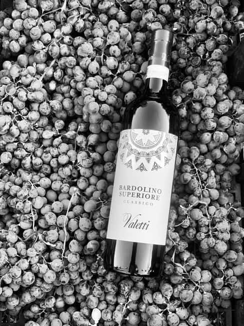 Bardolino: Wine tasting at Cantina Valetti - A Detailed Look at the Experience
