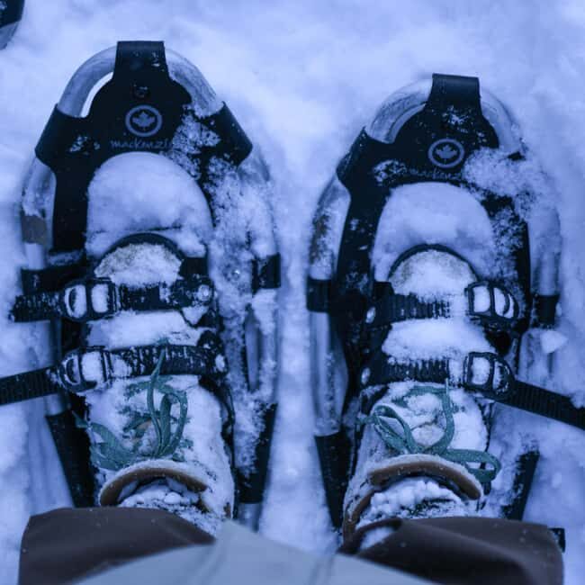 Bardufoss: Snowshoeing and Northern Lights Adventure - Key Points