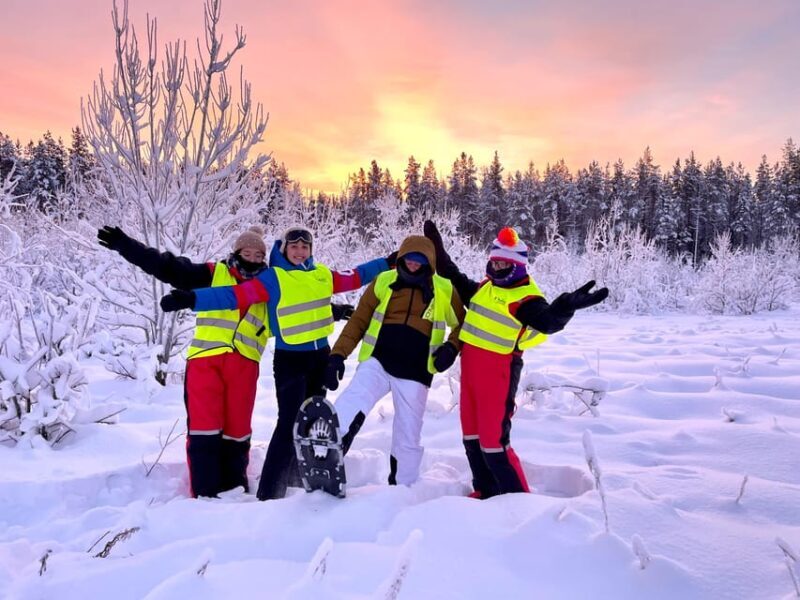 Bardufoss: Wild Moose Safari with Lunch - An In-Depth Look at the Moose Safari