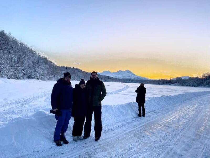 Bardufoss: Wild Moose Safari with Lunch - FAQs