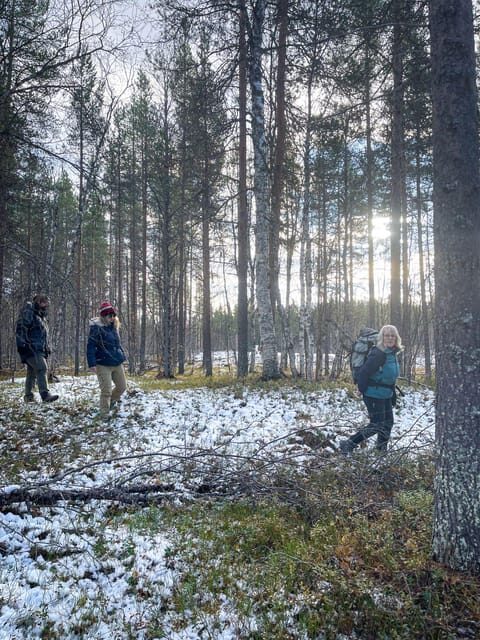Bardufoss: Wild Moose Safari with Lunch - Final Thoughts