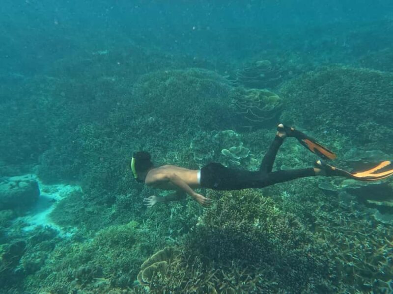 Bare Sea Liveaboard 2D1N on Standard Boat from Labuan Bajo - The Sum Up: Is This Tour for You?