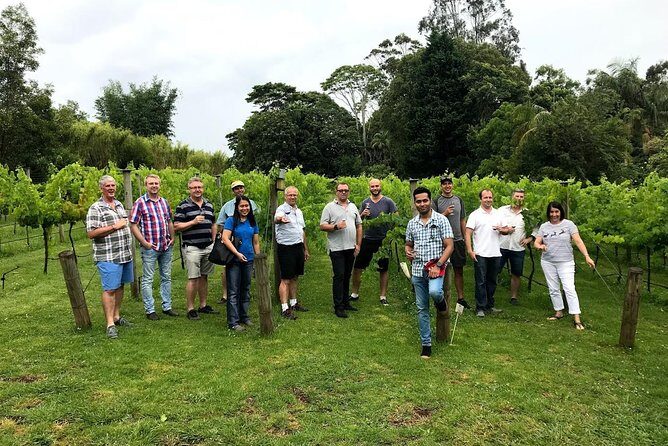 Barefoot Luxury Mount Tamborine Winery Tour from Brisbane - What Travelers Are Saying