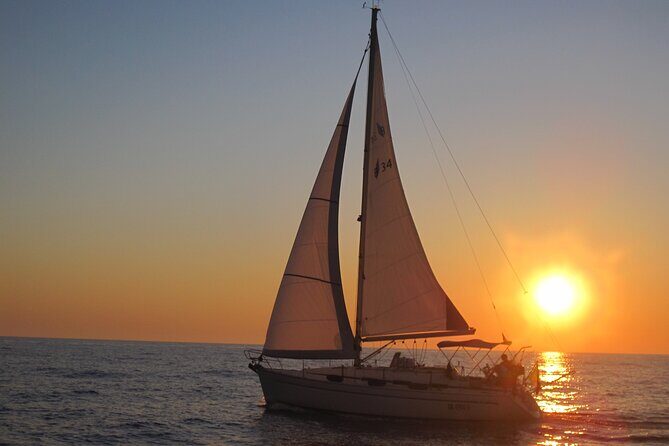 Bari sailing cruise in search of dolphins - The Real Deal: What to Expect on Your Bari Sailing Cruise