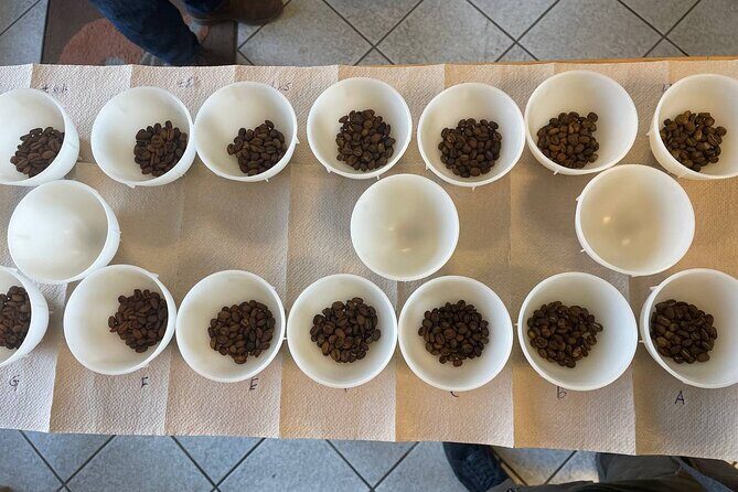 Barista Skills Foundation Course in Ljubljana - Frequently Asked Questions