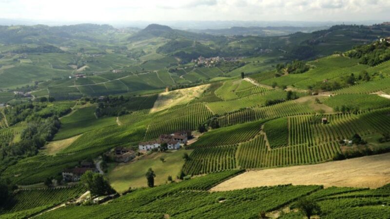 Barolo: Guided Scenic E-Bike Tour with Wine Tasting - An In-Depth Look at the Experience