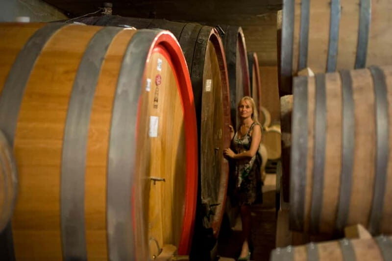 BAROLO: GUIDED VISIT TO THE WINERY AND TASTING WITH THE PRODUCER - An In-Depth Look at the Experience