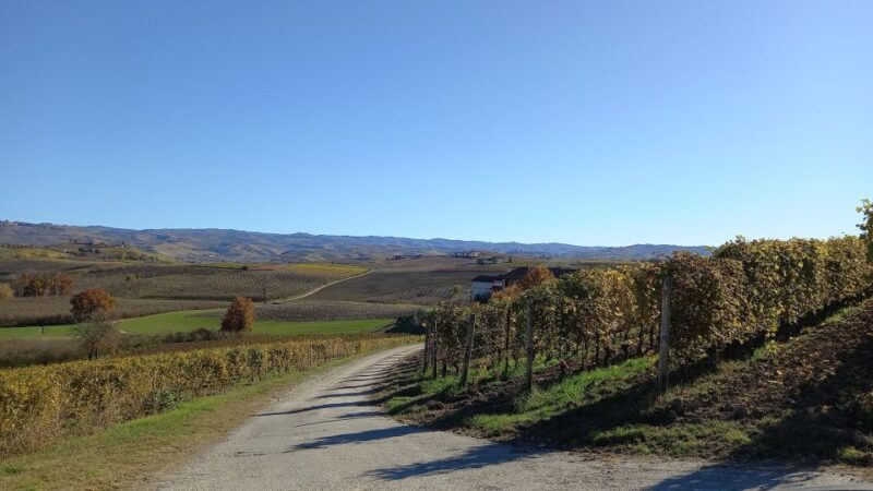 Barolo Langhe Wine Tour - Introduction
