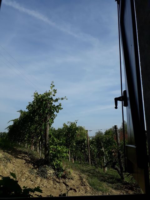 Barolo Langhe Wine Tour - Key Points