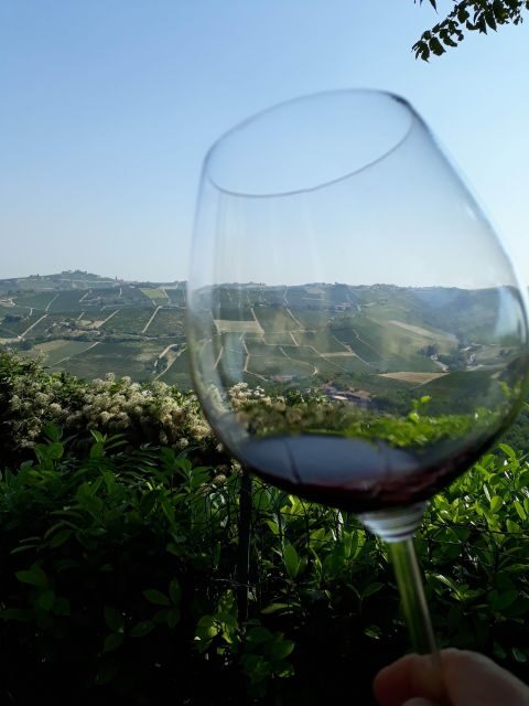 Barolo Langhe Wine Tour - What to Expect