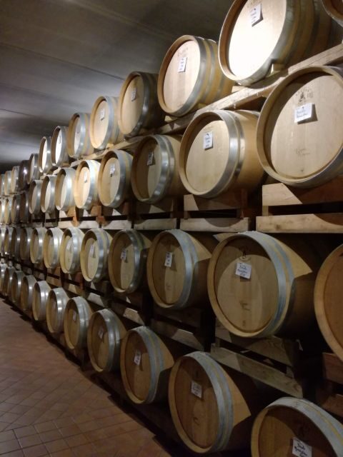 Barolo Langhe Wine Tour - Price & Value