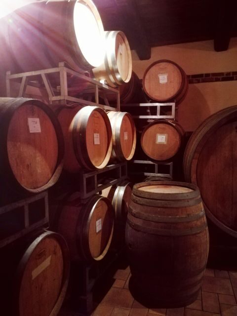 Barolo Langhe Wine Tour - Potential Drawbacks