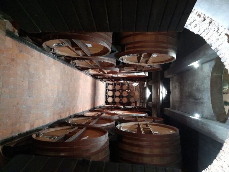 Barolo: Truffle Hunting and Wine Tasting - The Sum Up