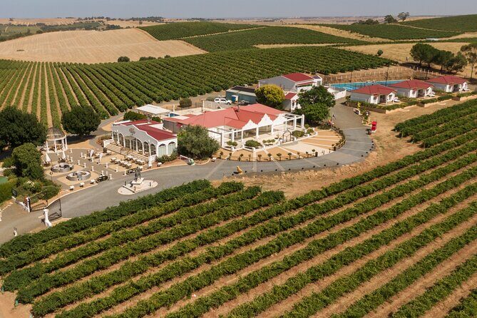 Barossa 4 Hours Wine Experience and Vineyard Walk with Lunch - Introduction
