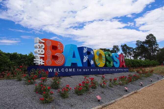 Barossa 4 Hours Wine Experience and Vineyard Walk with Lunch - Practical Tips