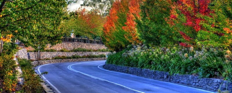 Barossa and Hahndorf Hill Tour - Key Points