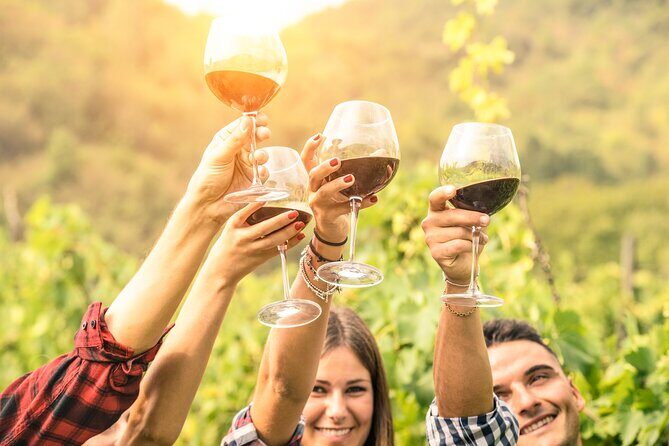 Barossa and Hahndorf Wine Tasting and Sightseeing Tour - Key Points