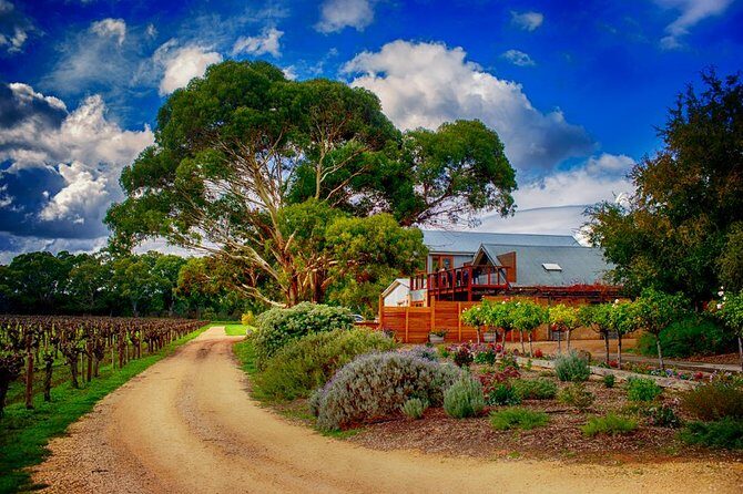 Barossa Full Day Wine Tour - Analyzing Value and Cost