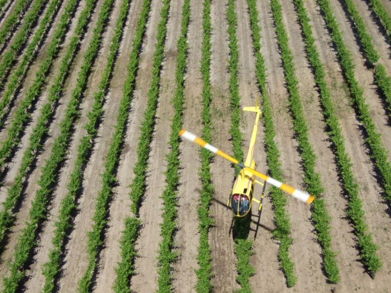 Barossa Valley: 10-Minute Scenic Helicopter Flight - Flying Over the Vineyards and Goldfields