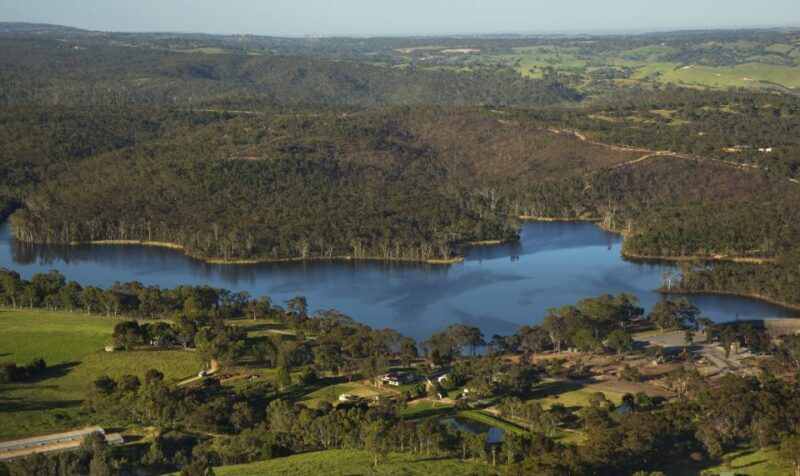 Barossa Valley: 20-Minute Scenic Helicopter Flight - An In-Depth Look at the Experience