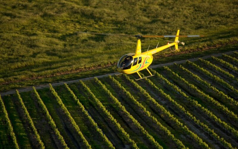 Barossa Valley: 20-Minute Scenic Helicopter Flight - Who Should Consider This Tour?