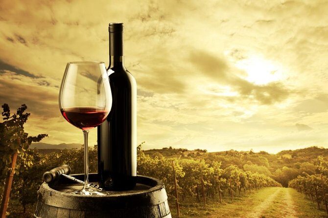Barossa Valley Cellar Door Small Group Tour - A Visitor’s Guide to the Barossa Valley Cellar Door Small Group Tour