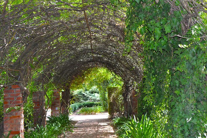 Barossa Valley Cellar Door Small Group Tour - Key Points
