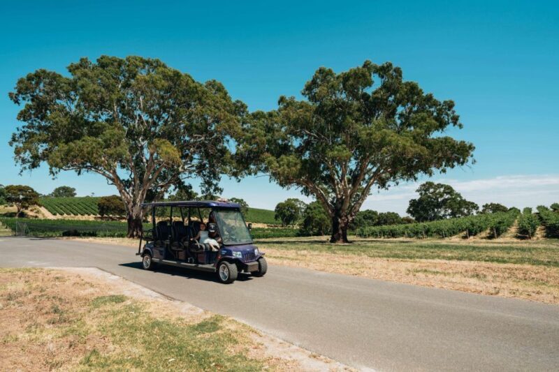 Barossa Valley: EcoVine Explorer - e-cart vineyard tour - Who Will Love This Tour?