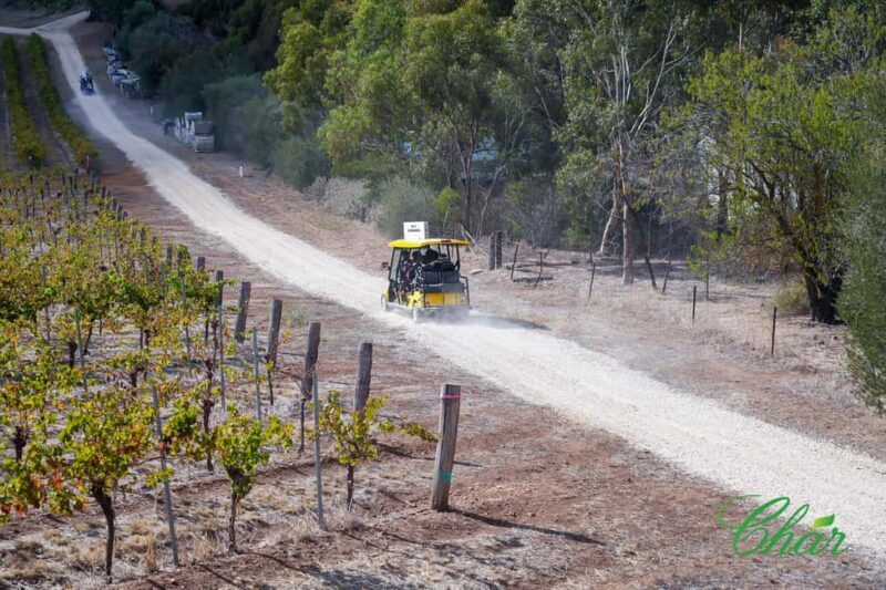 Barossa Valley: EcoVine Explorer - e-cart vineyard tour - Final Thoughts