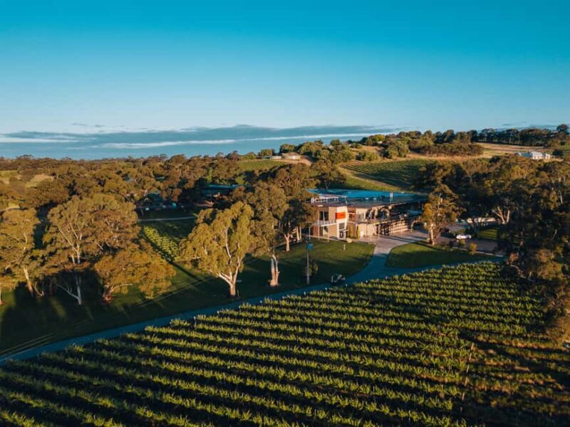 Barossa Valley: EcoVine Explorer - e-cart vineyard tour - Frequently Asked Questions