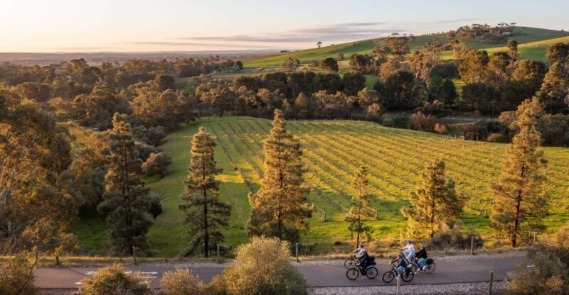 Barossa Valley: Gourmet Food and Wine E-Bike Tour - A practical overview of the experience