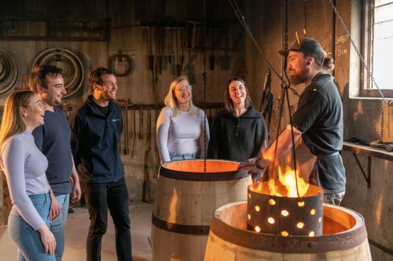 Barossa Valley: Gourmet Food and Wine E-Bike Tour - Who this tour is best for
