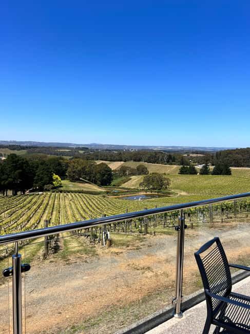 Barossa Valley: Gourmet Food & Wine Tour with Cheese Tasting - Key Points