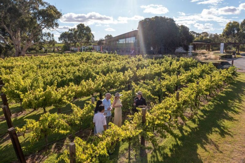 Barossa Valley: Jacob's Creek Perfect Picnic - The Sum Up