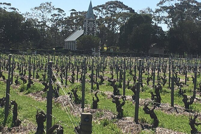 Barossa Valley Private Luxury Tour - Who is This Tour Best For?