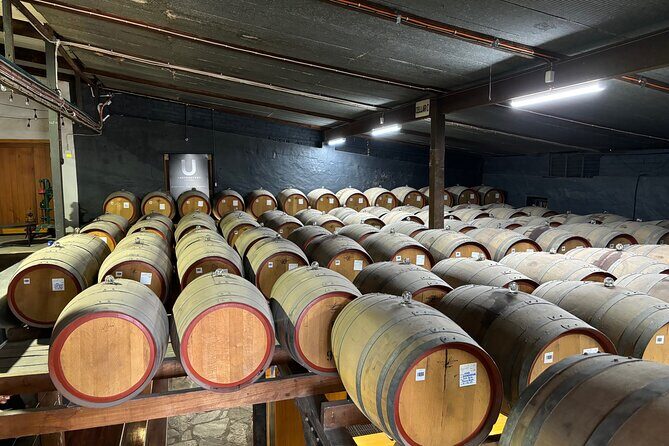 Barossa Valley Private Luxury Tour Half Day - In-Depth Look at the Itinerary