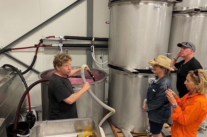 Barossa Valley Private Luxury Tour Half Day - Summary of the Tour Experience