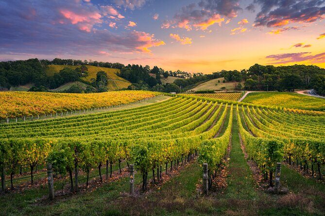 Barossa Valley Scenic Helicopter Flight & Private Wine Tour - Practical Tips