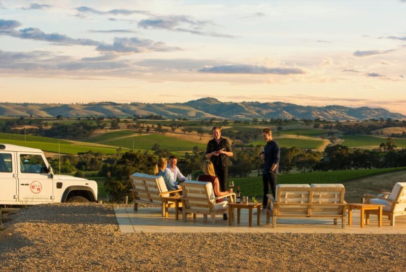 Barossa Valley: Two Hands 1.5-Hour Vineyard Tour - Balancing Cost and Experience