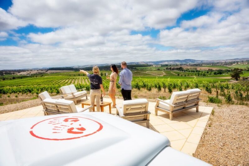 Barossa Valley: Two Hands 1.5-Hour Vineyard Tour - Who Should Consider This Tour?