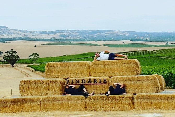 Barossa Wine Tasting shared tours - Authentic Experiences Highlighted in Reviews