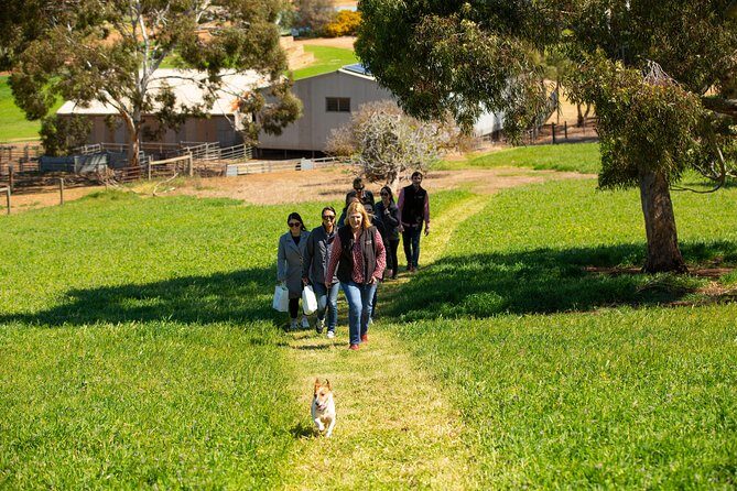 Barossa Wine Tasting shared tours - Final Thoughts
