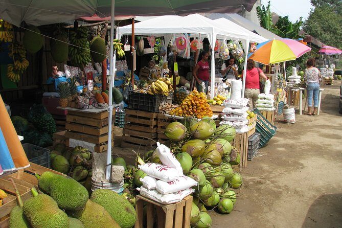 barra de navidad and plantations - A Detailed Look at the Tour Experience
