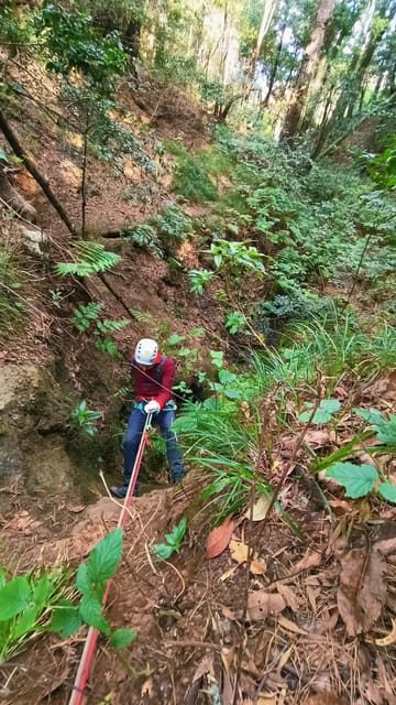 Barranquismo Tenerife: Canyoning Adventure - A Detailed Look at the Canyoning Adventure in Tenerife
