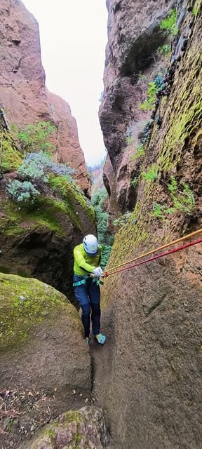 Barranquismo Tenerife: Canyoning Adventure - Pricing & Value